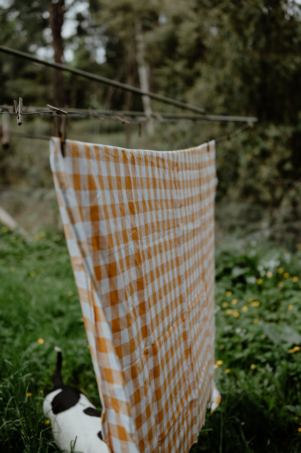 The Beauty of Deadstock Fabric: Transforming Waste into Sustainable St ...